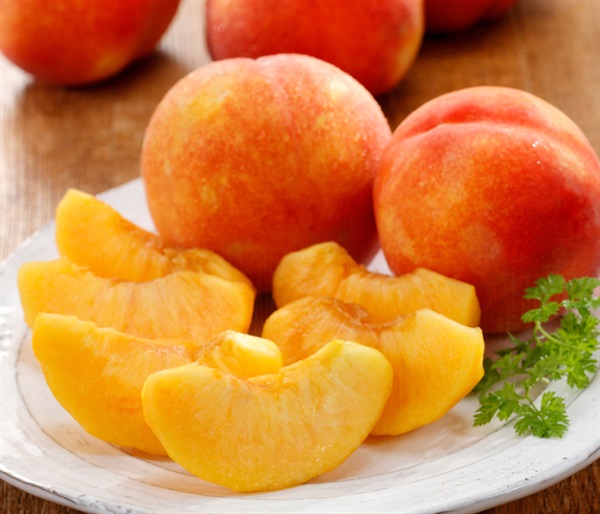 長野県産ワッサー｜TSKオンラインショップ